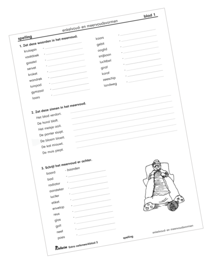Taal 6 spelling enkel- en meervoudsvormen - Educatieve Uitgeverij Kinheim