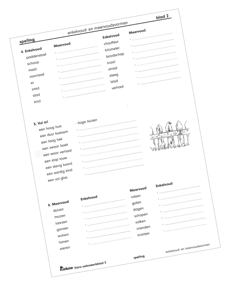 Taal 6 spelling enkel- en meervoudsvormen - Educatieve Uitgeverij Kinheim