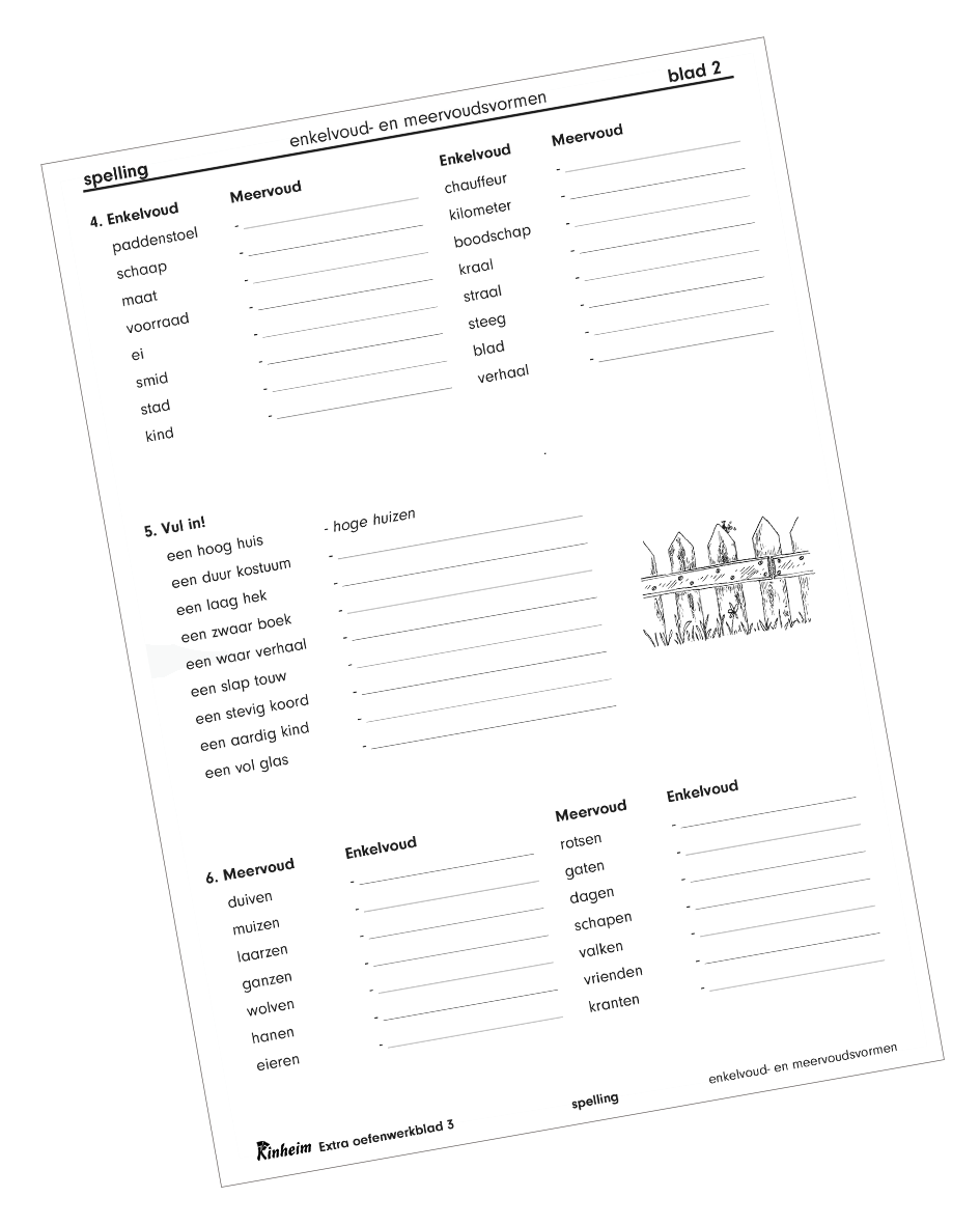 Taal 6 spelling enkel- en meervoudsvormen - Educatieve Uitgeverij Kinheim