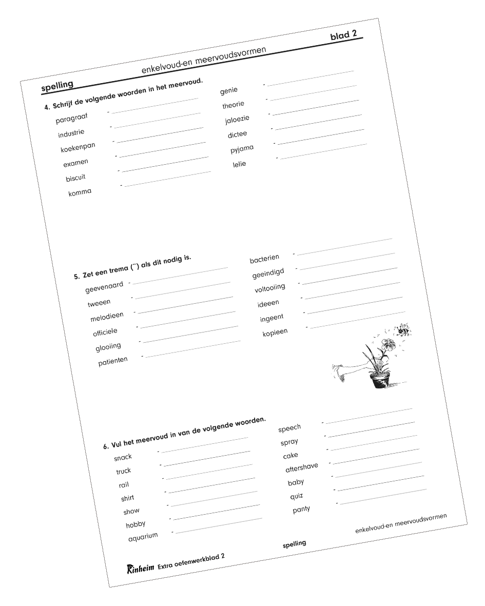 Taal 8 spelling enkelvoud- en meervoudsvormen - Educatieve Uitgeverij Kinheim